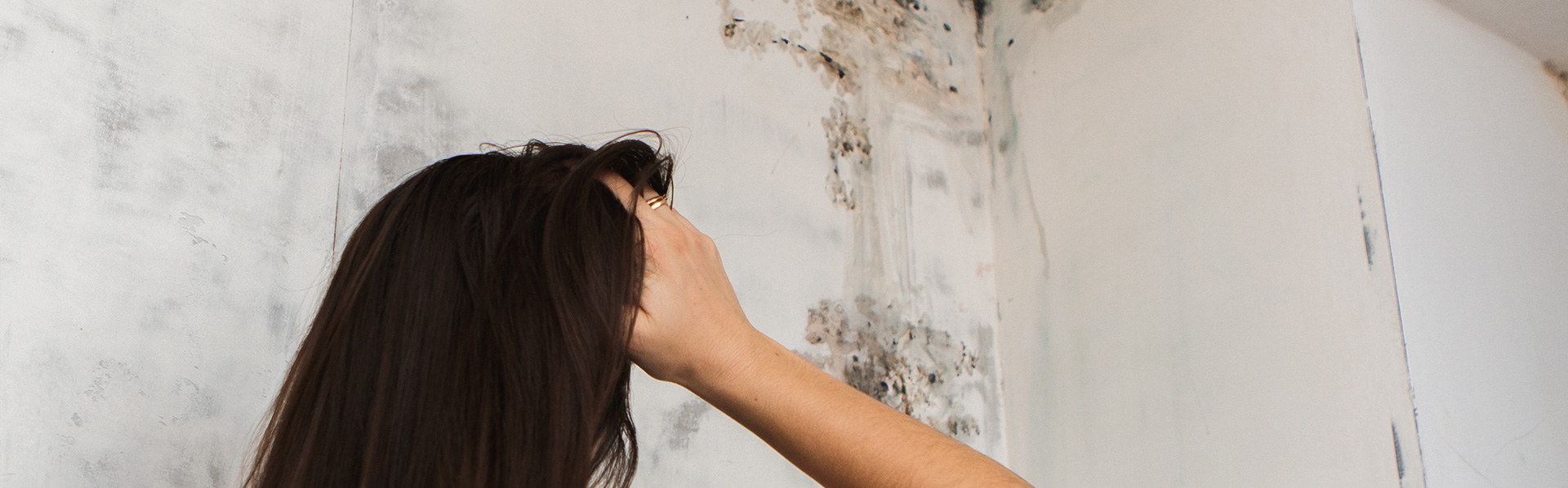 Mildew-resistant paint: Dyonem | DYO